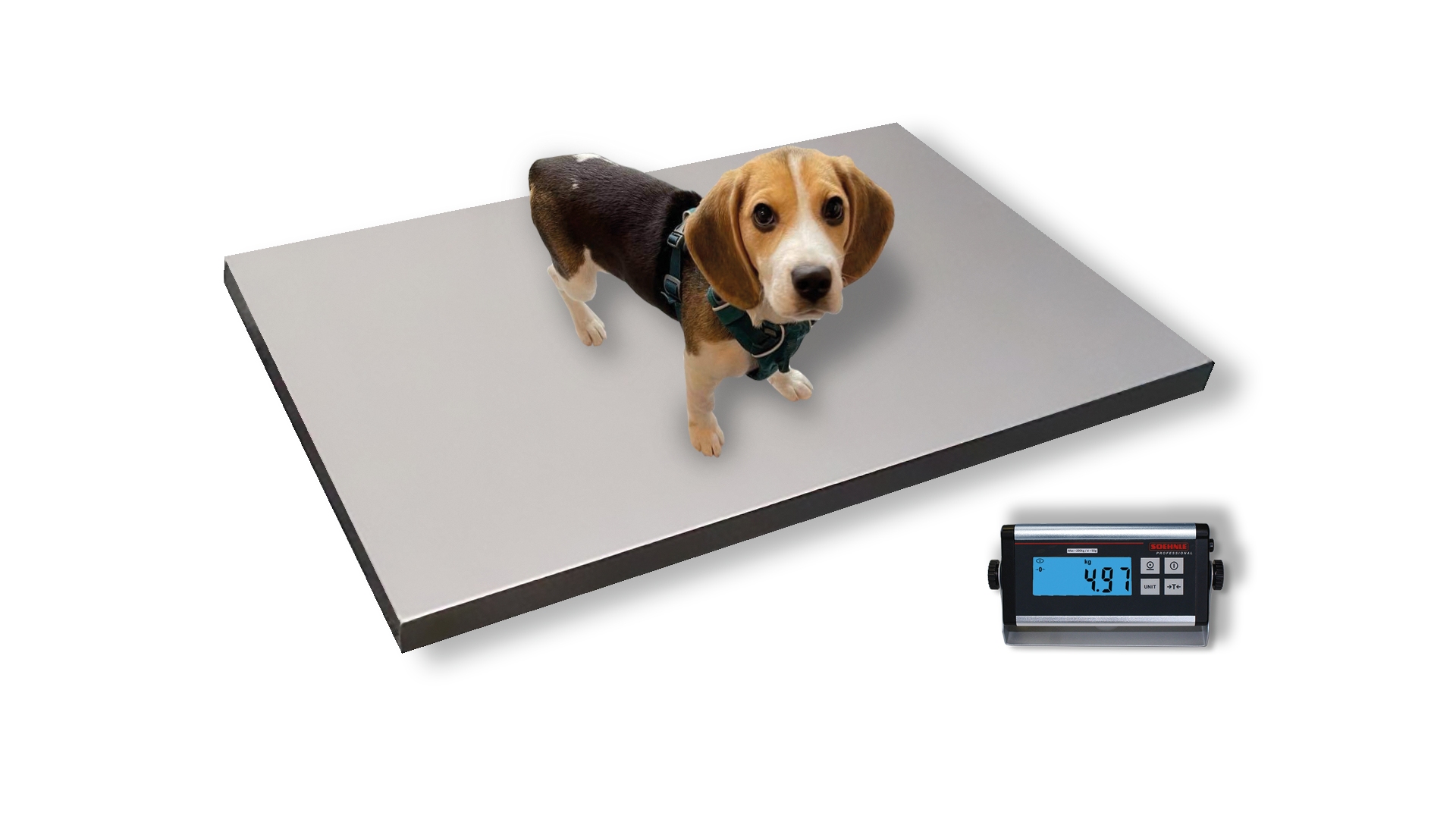 Soehnle Professional Tierwaage 6858 I Ärzteverlag-Shop